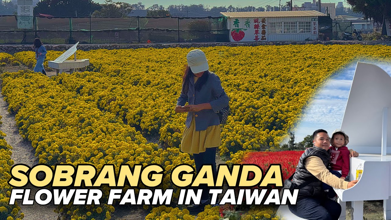 SOBRANG GANDA(FLOWER FARM SA TAIWAN) - YouTube