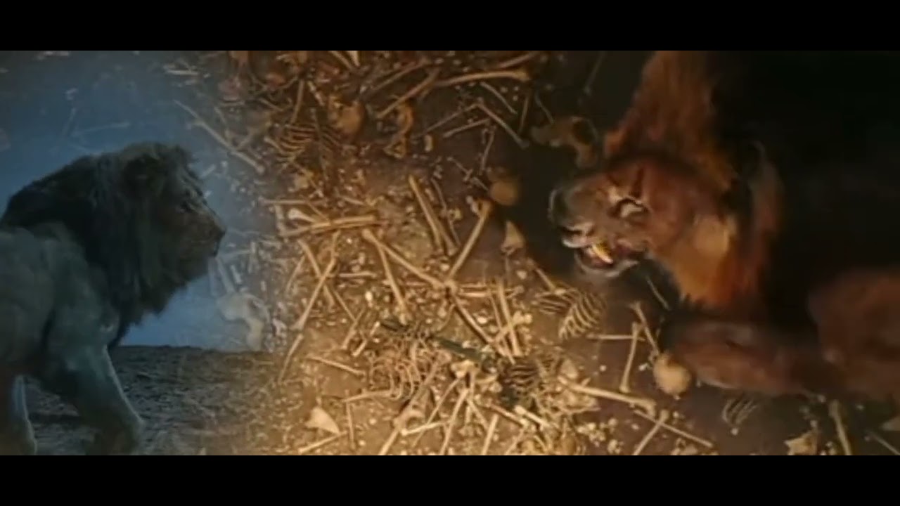Simba vs leão de nemeia - YouTube