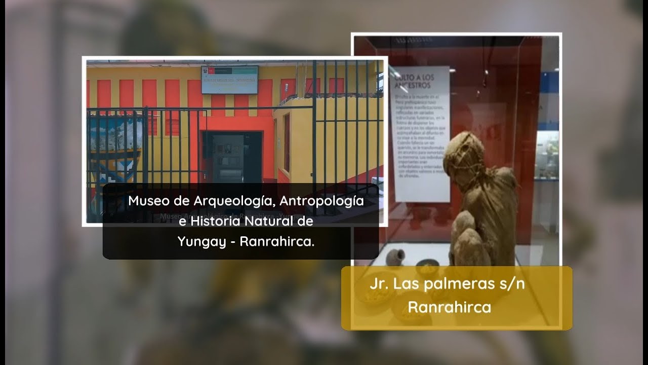 REPORTAJE - MUSEO ARQUEOLOGICO, ANTROPOLOGICO E HISTORIA NATURAL DE ...