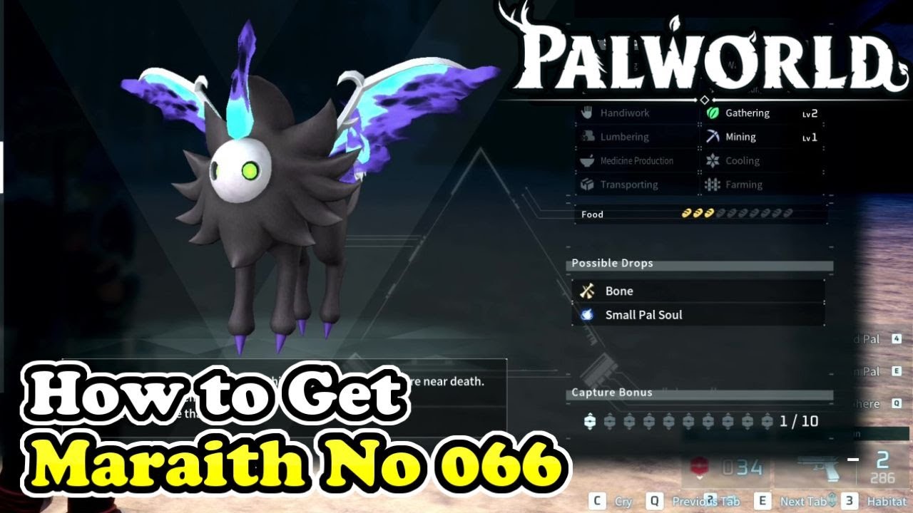 Palworld How to Get Maraith (Palworld No 066) - YouTube