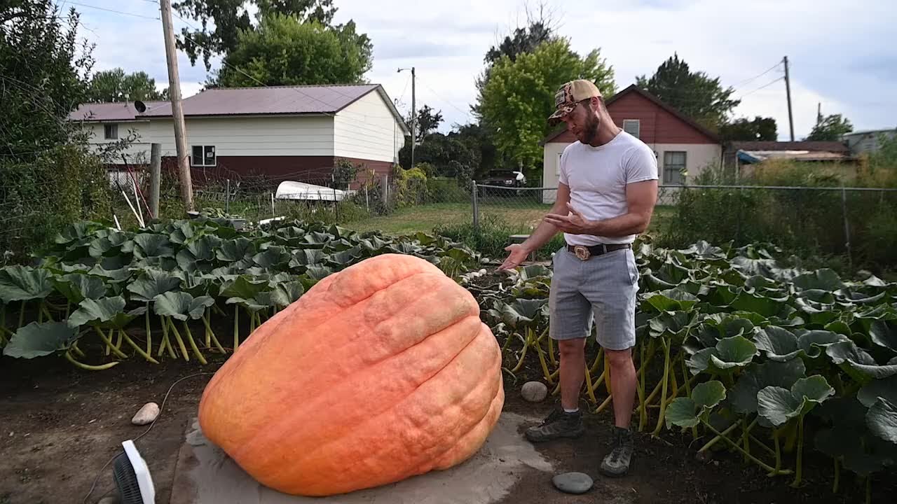 Billings' Joe Nigro going for Montana state record with 1300 pound ...