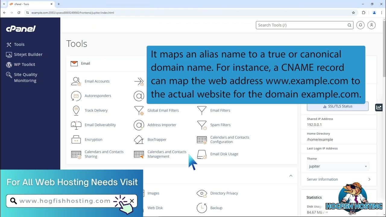 How to add CNAME Record in cPanel using the DNS Zone Editor with Hogfish Hosting - YouTube