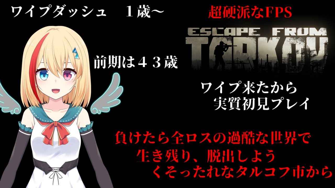 【EFT】ワイプダッシュだあああああ【Vtuber】 - YouTube