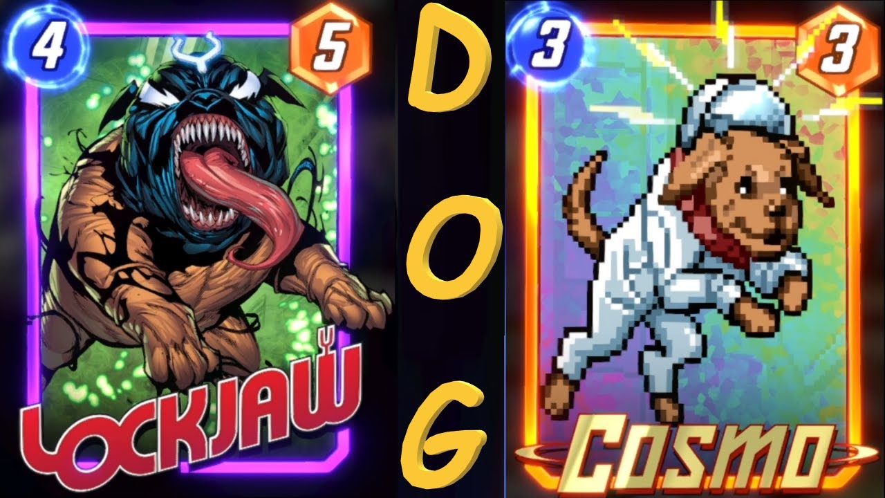 Lockjaw "helps" Get The CannonBall Wins In On World Puppy/Dog Day ...