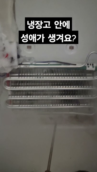 냉장고 안에 성애가 생긴다면 Youtube