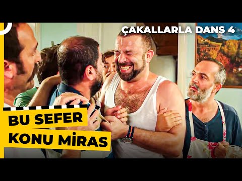 Senin Dayı Oğluna Dayıyım! | Çakallarla Dans 4