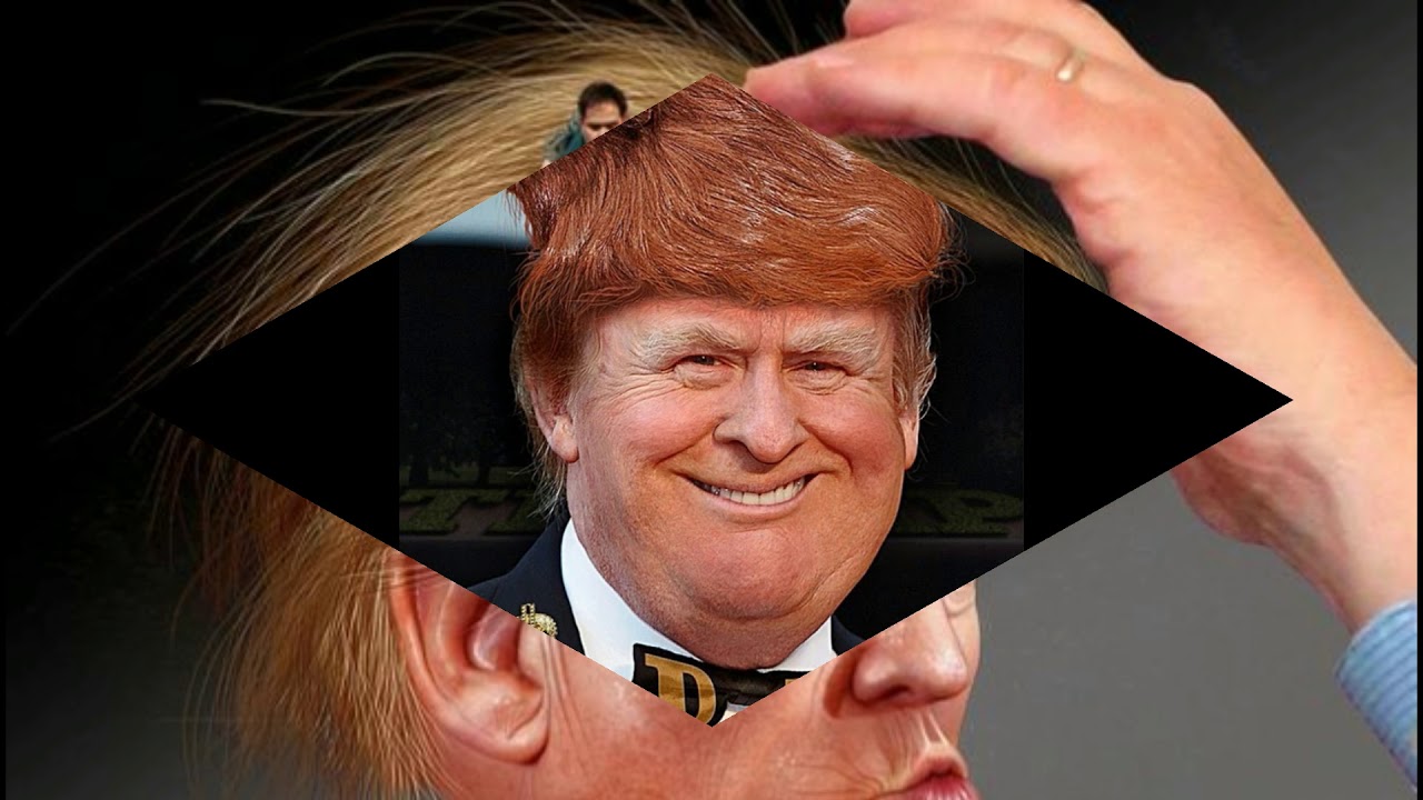 Hilarious and Weird Donald Trump Artworks! - YouTube