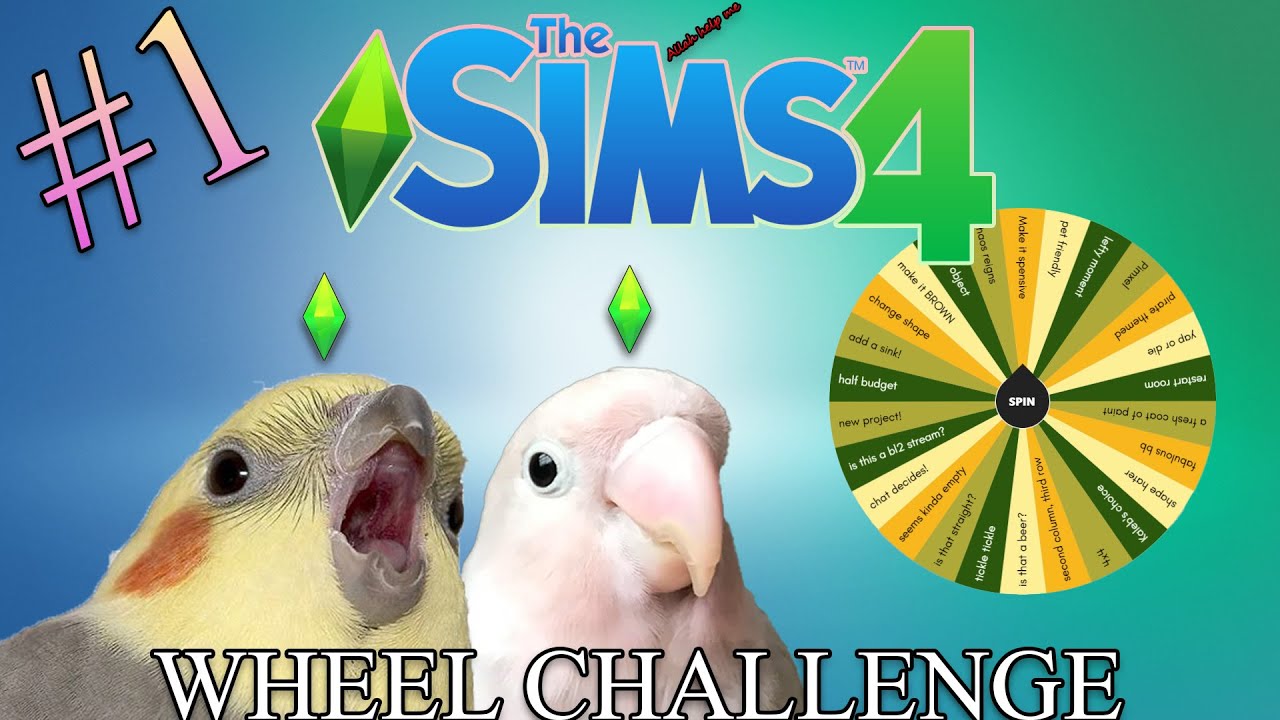 WHEEL WHEEL WHEEL - Sims Wheel Challenge #1 - YouTube