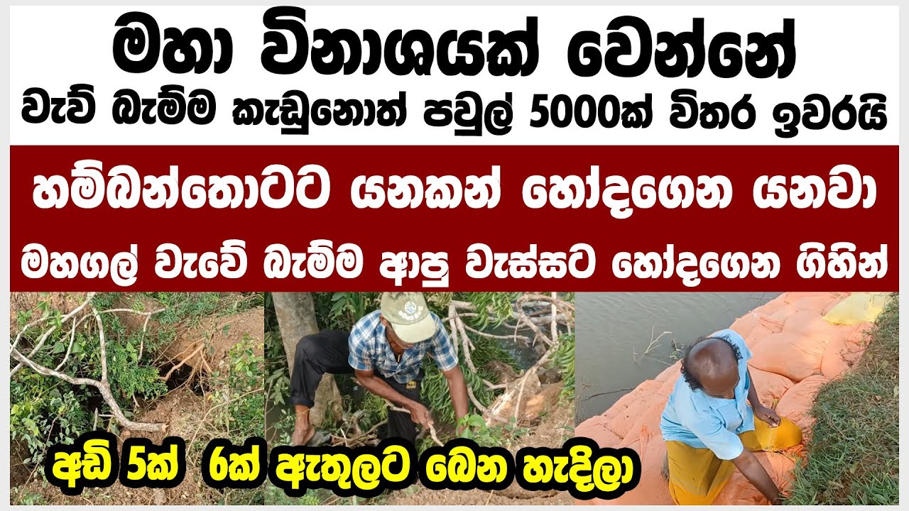 වැව් බැම්ම කැඩුනොත් පවුල් 5000ක් විතර ඉවරයි හම්බන්තොටට යනකන් හෝදගෙන ...