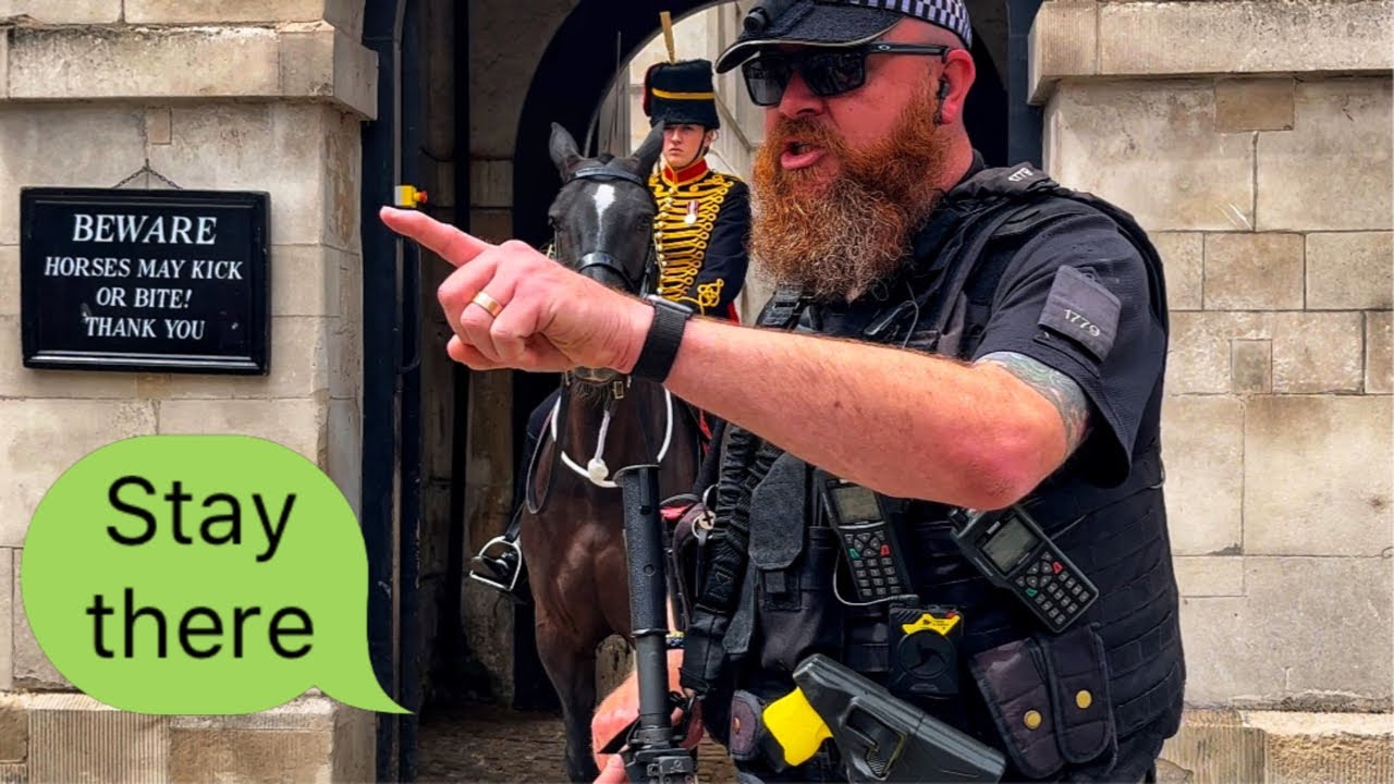 You Won't Believe Your Eyes: Hilarious Tourist Fails Caught on Camera ...