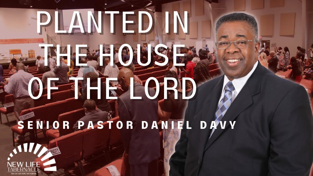 Senior Pastor Daniel Davy “Planted in the House of The Lord” | 11/06/22 ...