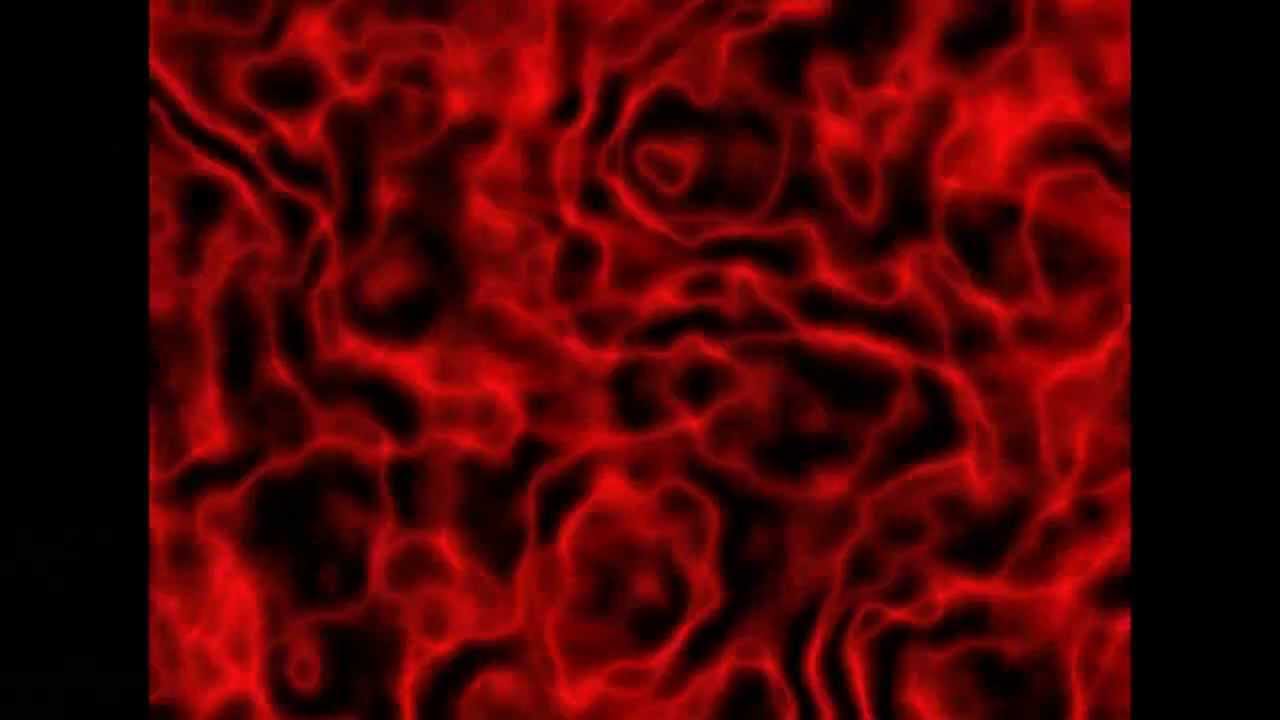 Die Charaktere des Line Ark Universums - YouTube