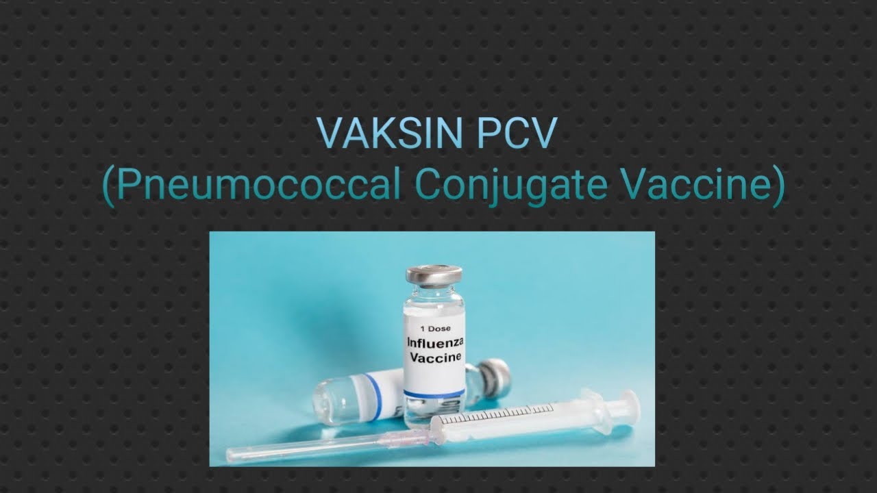 VAKSIN PCV (Pneumococcal Conjugate Vaccine) - YouTube
