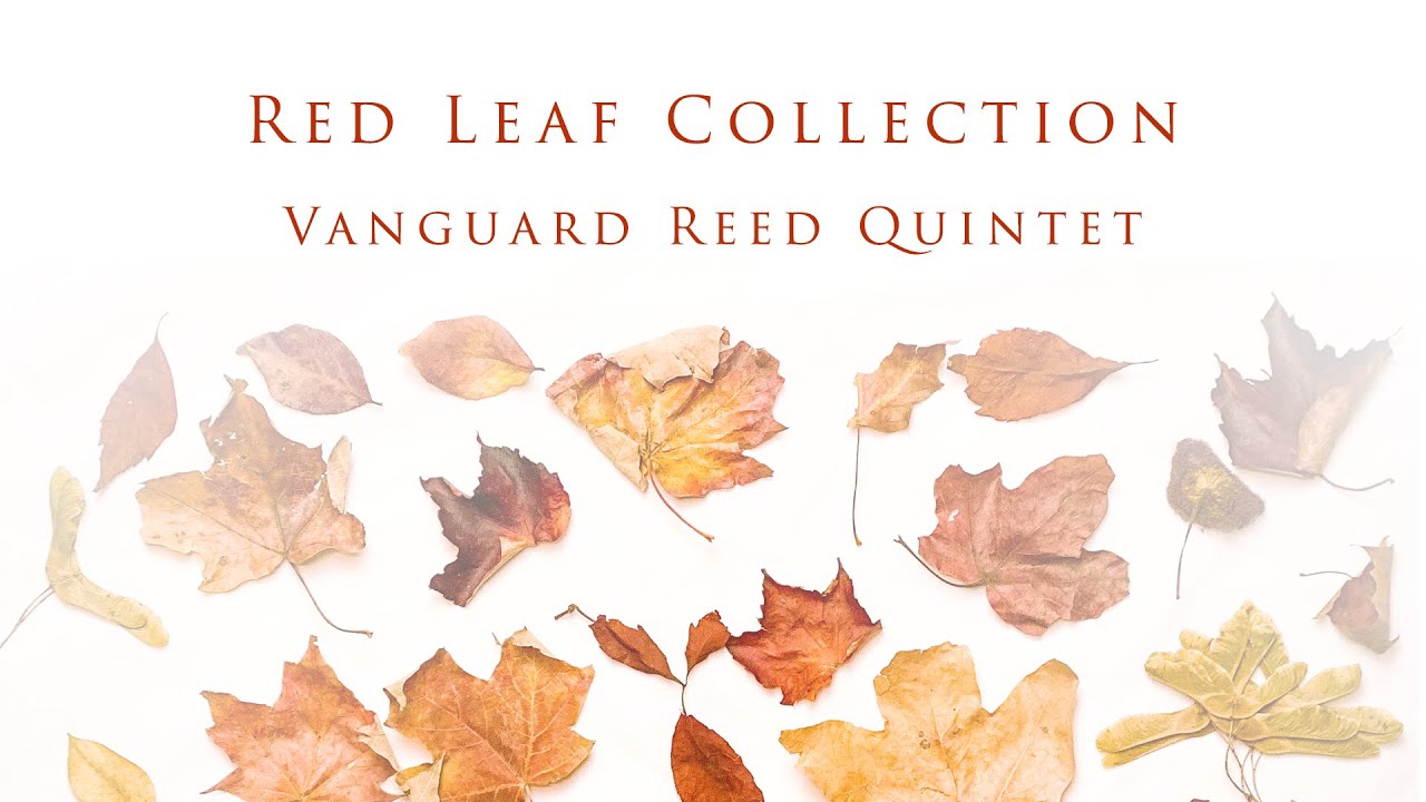Red Leaf Collection - Trailer - YouTube
