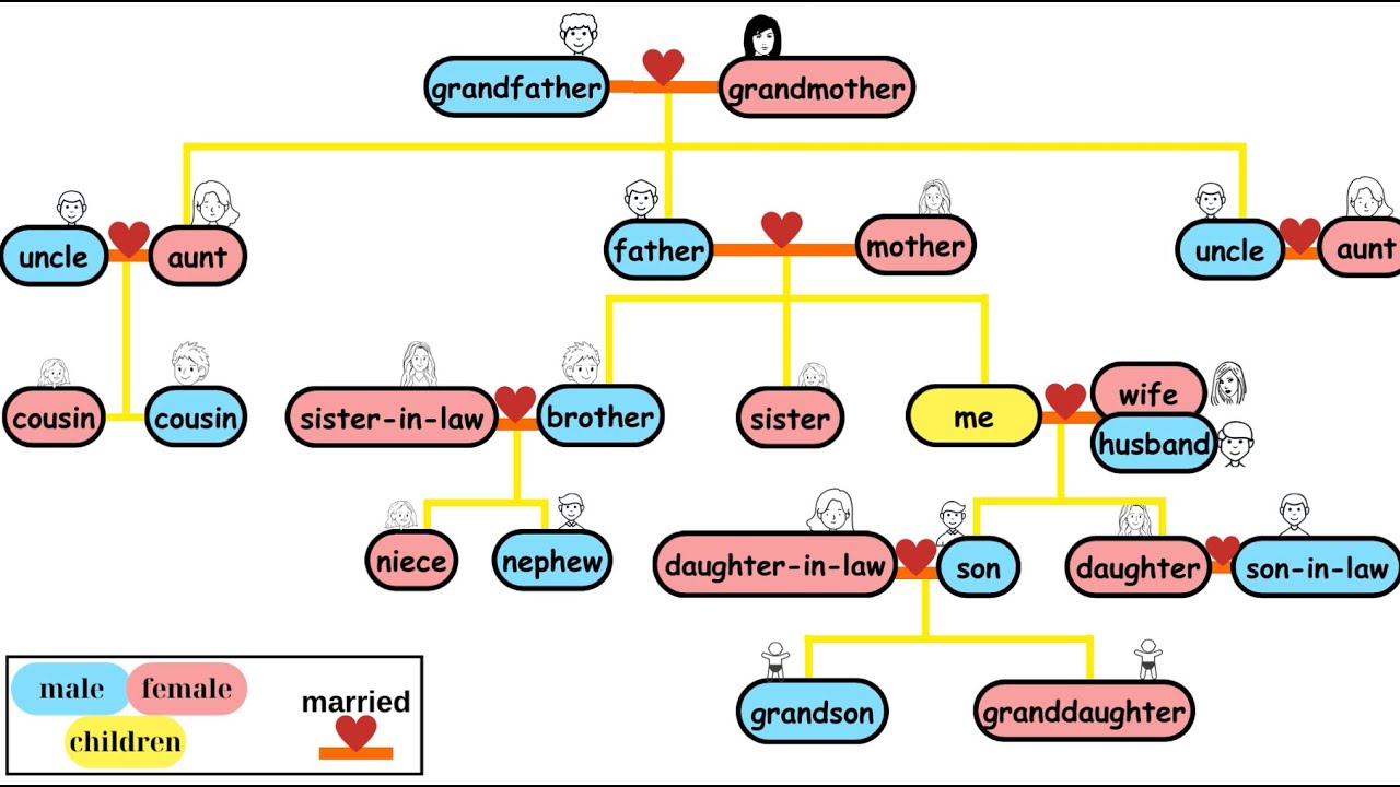 Family Members | Vocabulary| Family tree | Learn English - YouTube