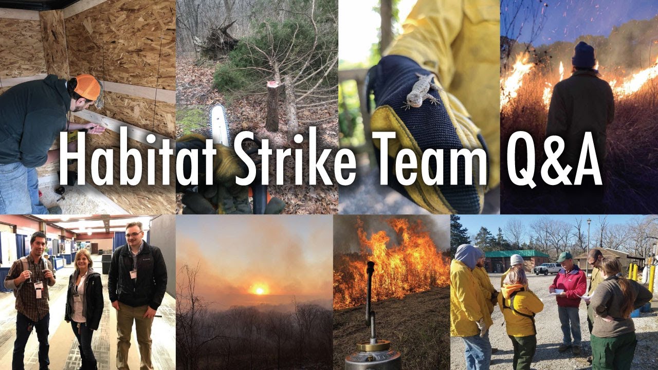 Q&A with the Habitat Strike Team from the National Great Rivers ...
