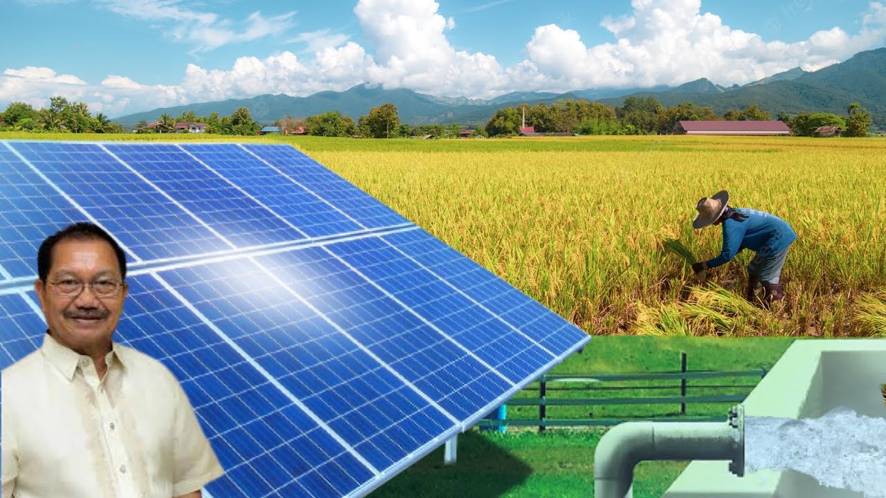 Philippine Rice Self-Sufficiency Could Be Achieved! | Solar-Powered Irrigation System - YouTube