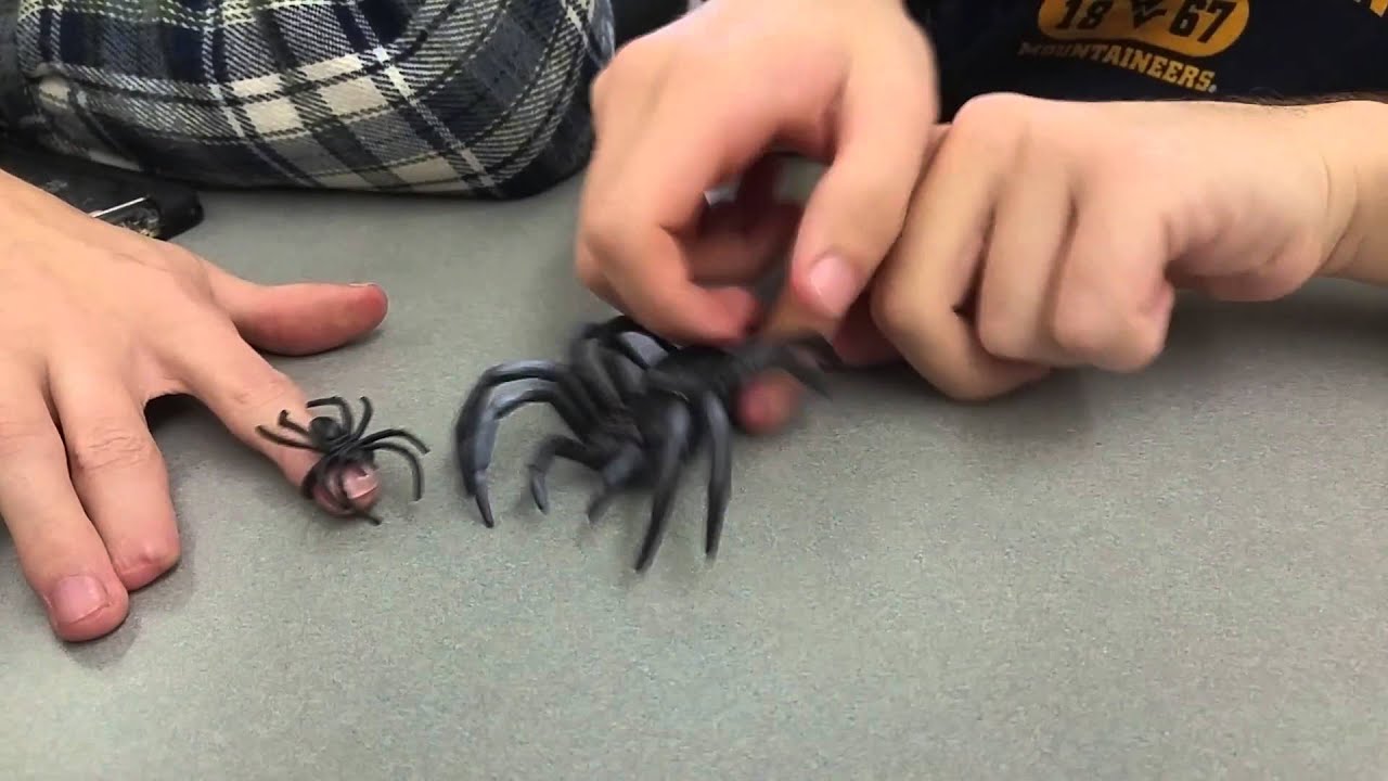 spider talks episode 1 - YouTube