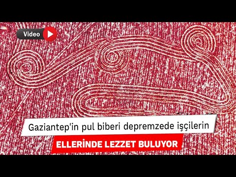 Gaziantep'in pul biberi depremzede işçilerin ellerinde lezzet buluyor
