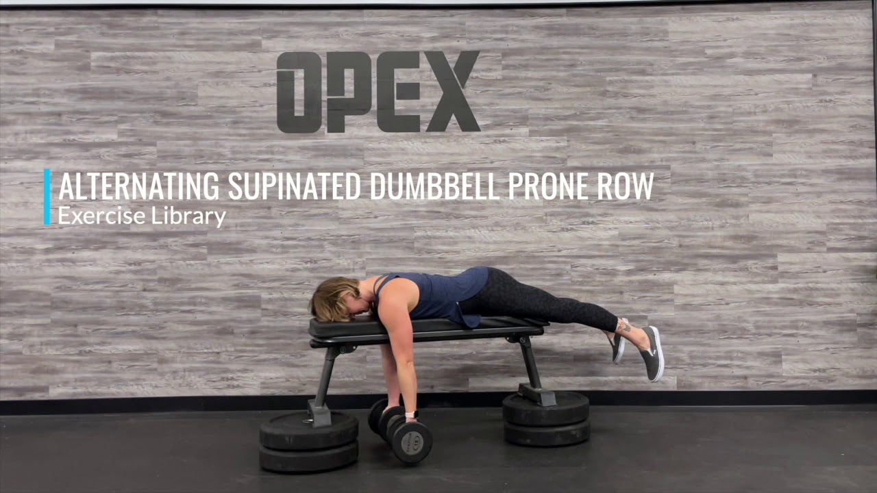 Alternating Supinated Dumbbell Prone Row Youtube