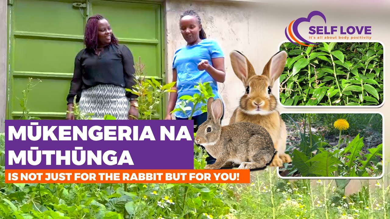 You’re not a rabbit but these foods: mùkengeria na mùthùnga are the best for your health! - YouTube