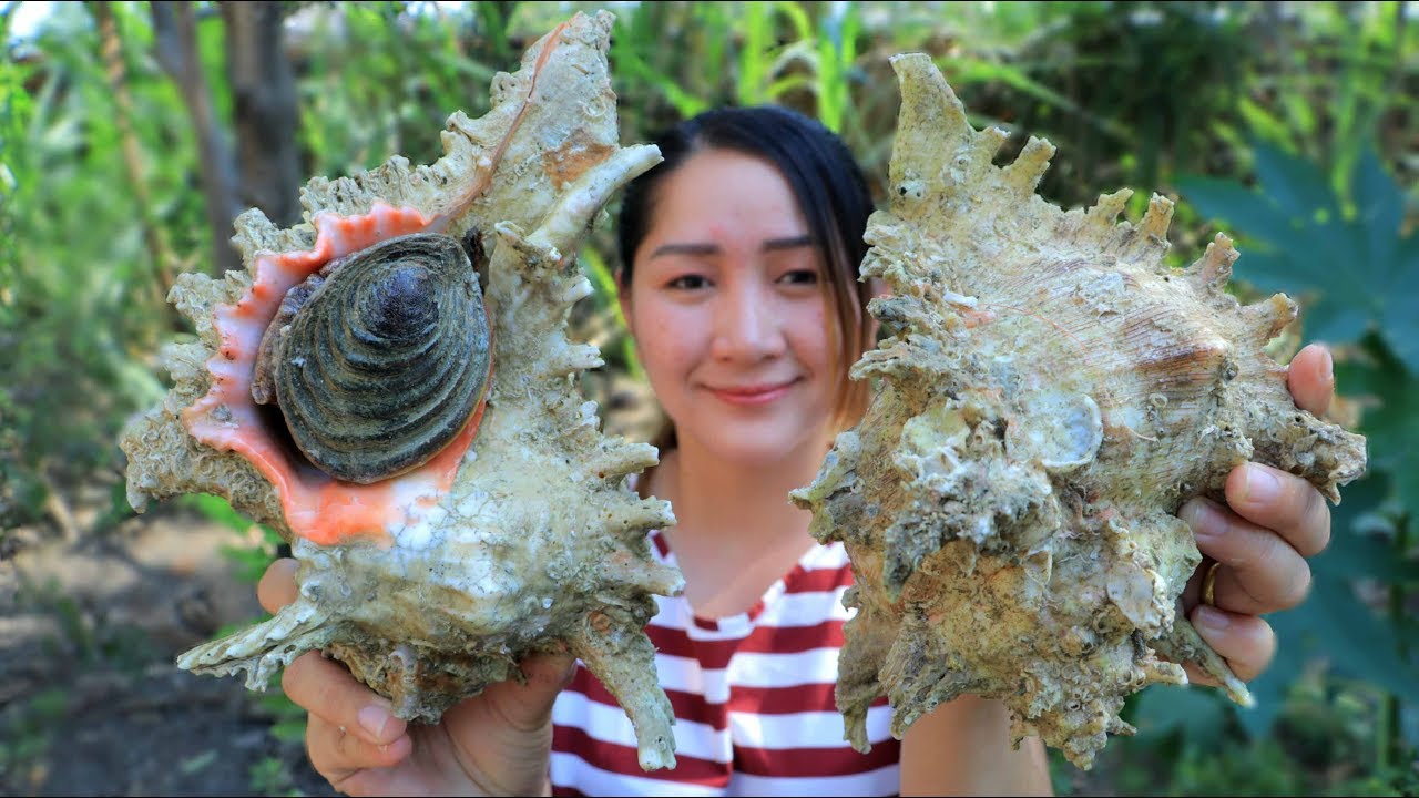 Yummy Murex Snail Salad Sea Weed – Alien Sea Snail Salad Recipe ...