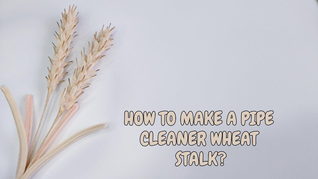 DIY Pipe Cleaner Wheat Stalk🤎| Fuzzy wire Barley Flower | Chenille stem ...