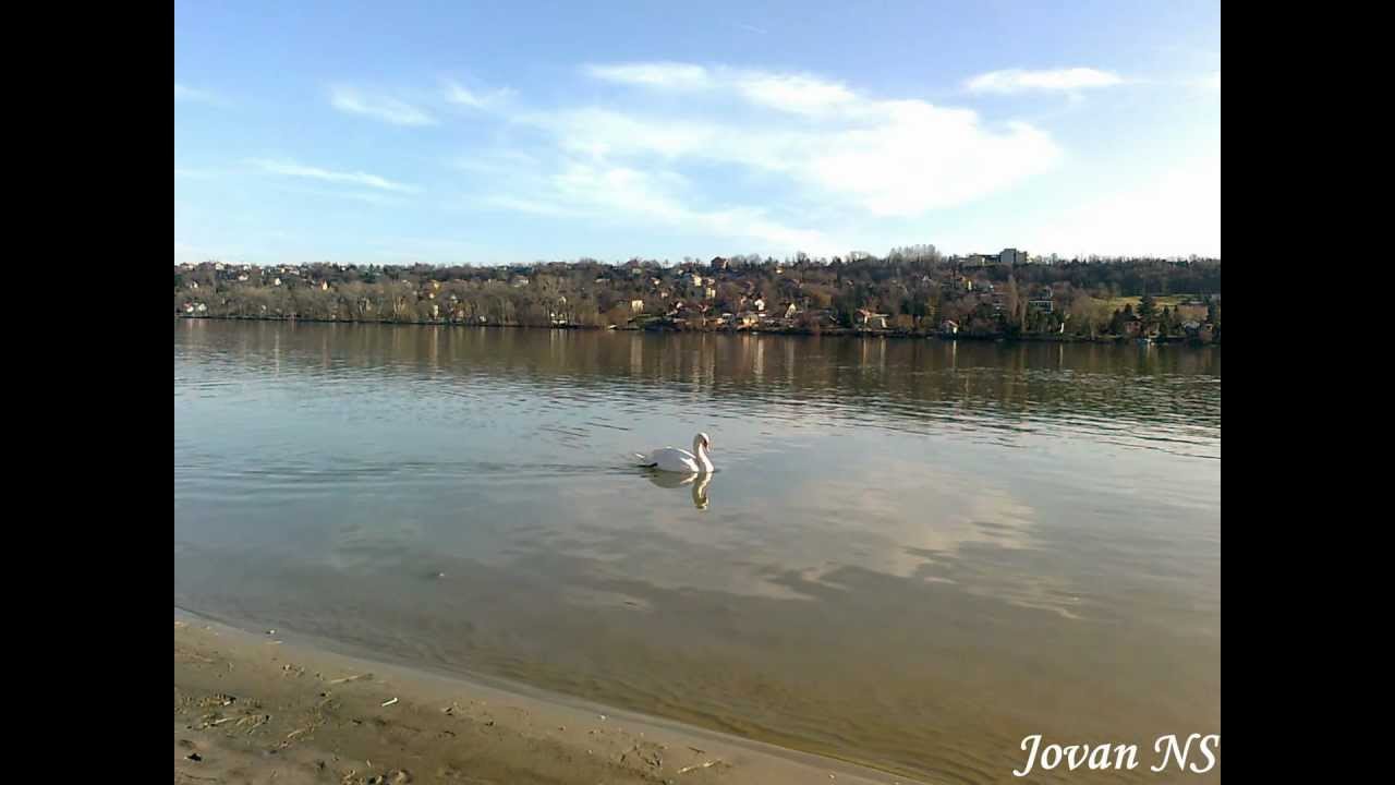 Prljavo Kazalište- Moj Bijeli Labude (Pictures ) - YouTube