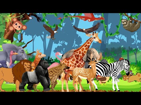 ABC Safari Animals Song 🐯 | A to Z Animal Sounds for Kids | Jungle ...