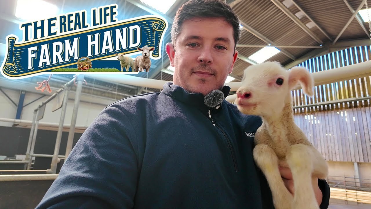 The Real Life Farm Hand - My First Day Working On A Farm! - Week 1 ...