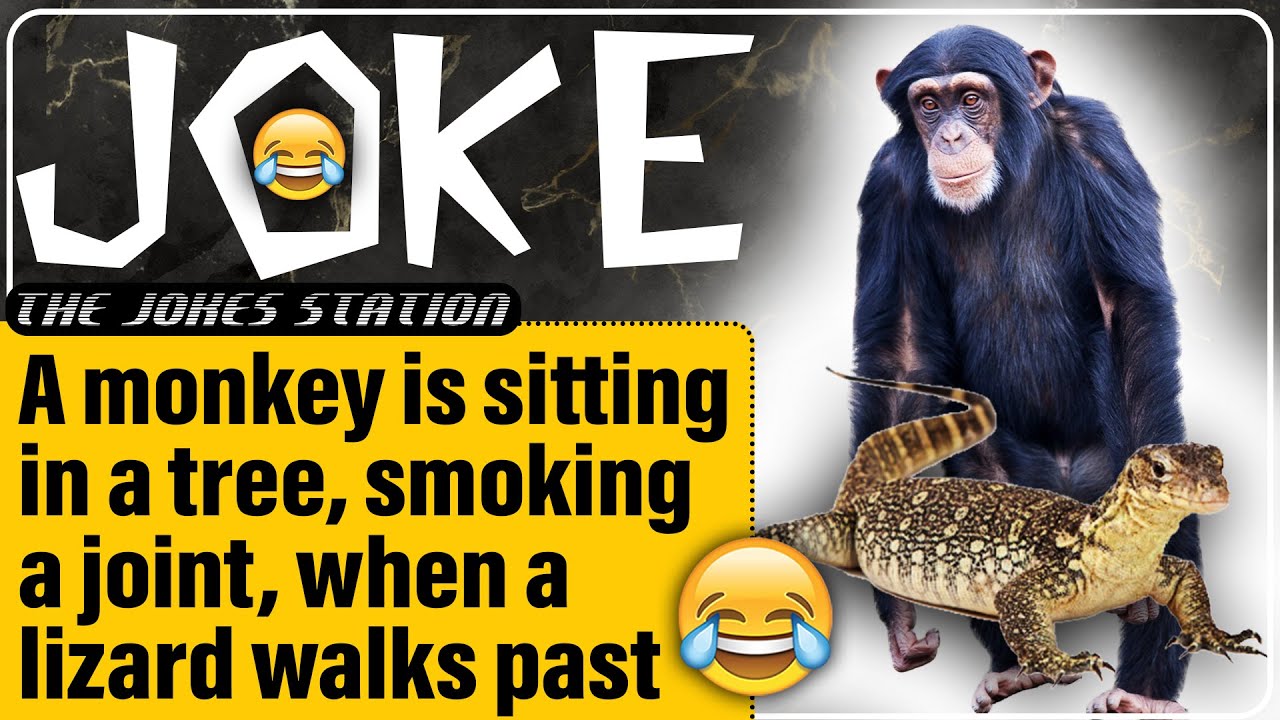 Funny jokes: A monkey is sitting in a tree, smoking a joint, when a ...