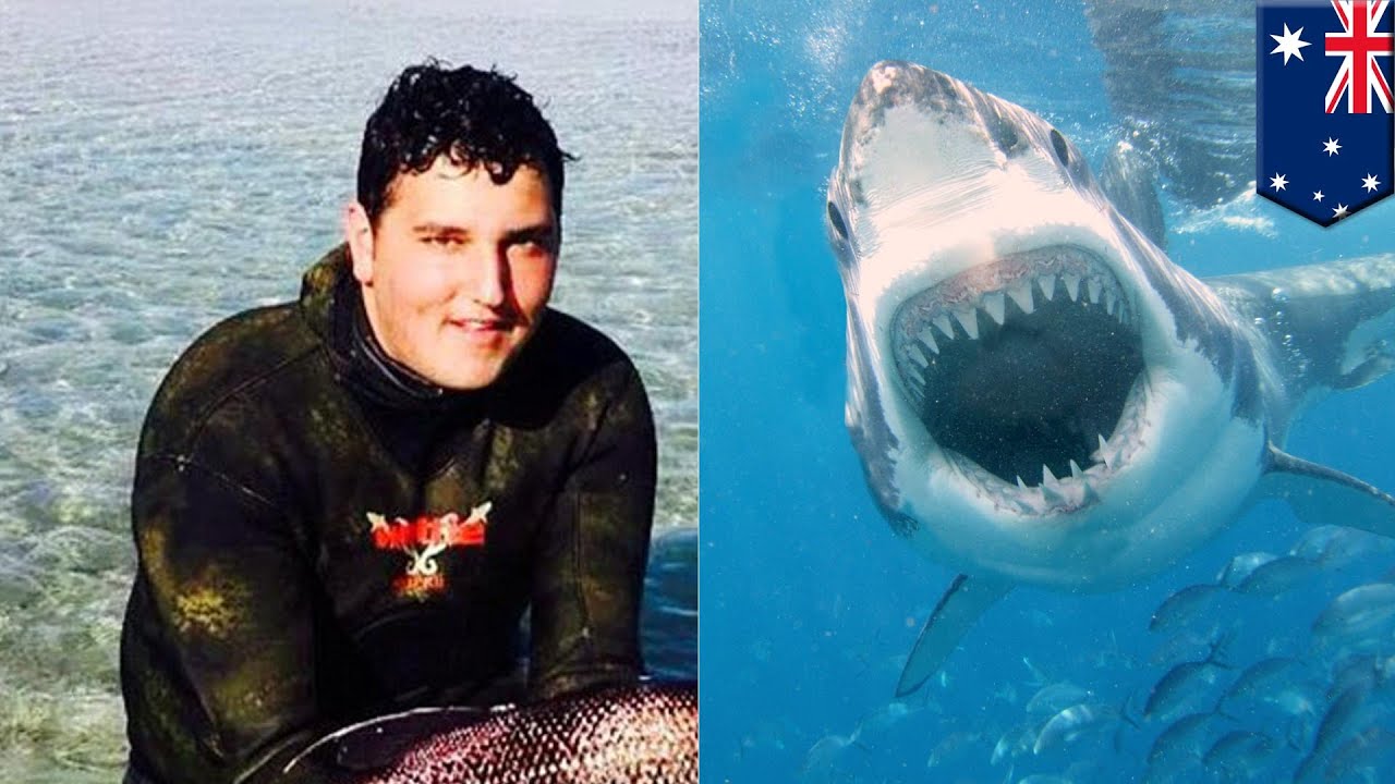 Kolejny atak rekina ludojada w Australii. Nastolatek nie żyje. - YouTube