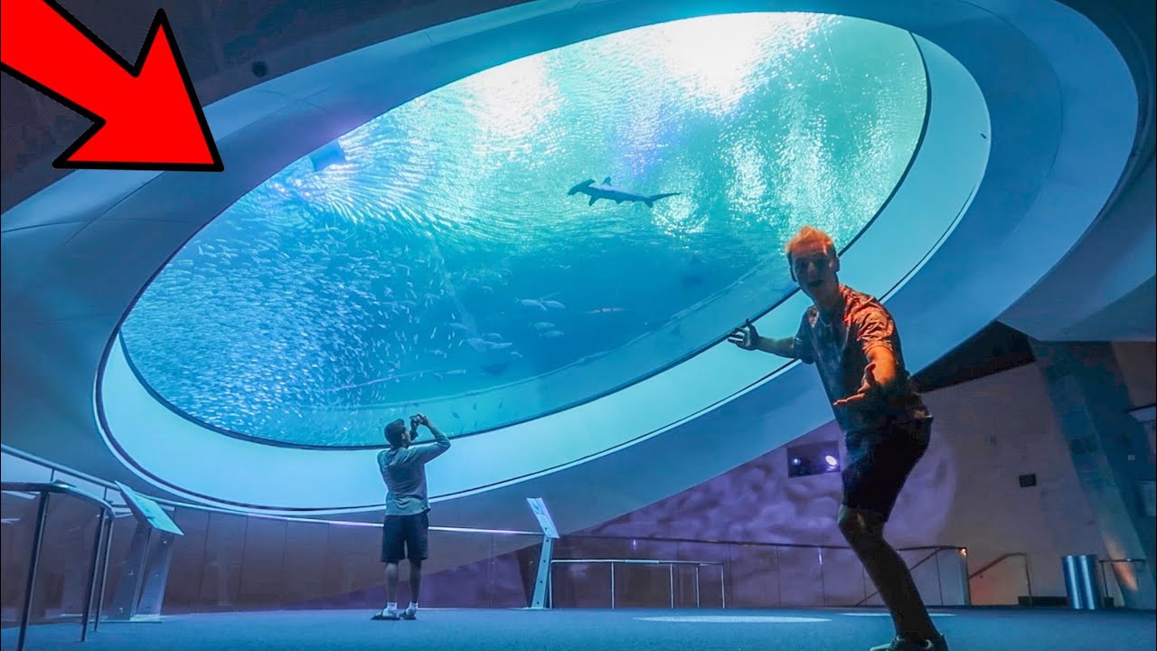 LARGEST SALTWATER FISH MUSEUM!! - YouTube