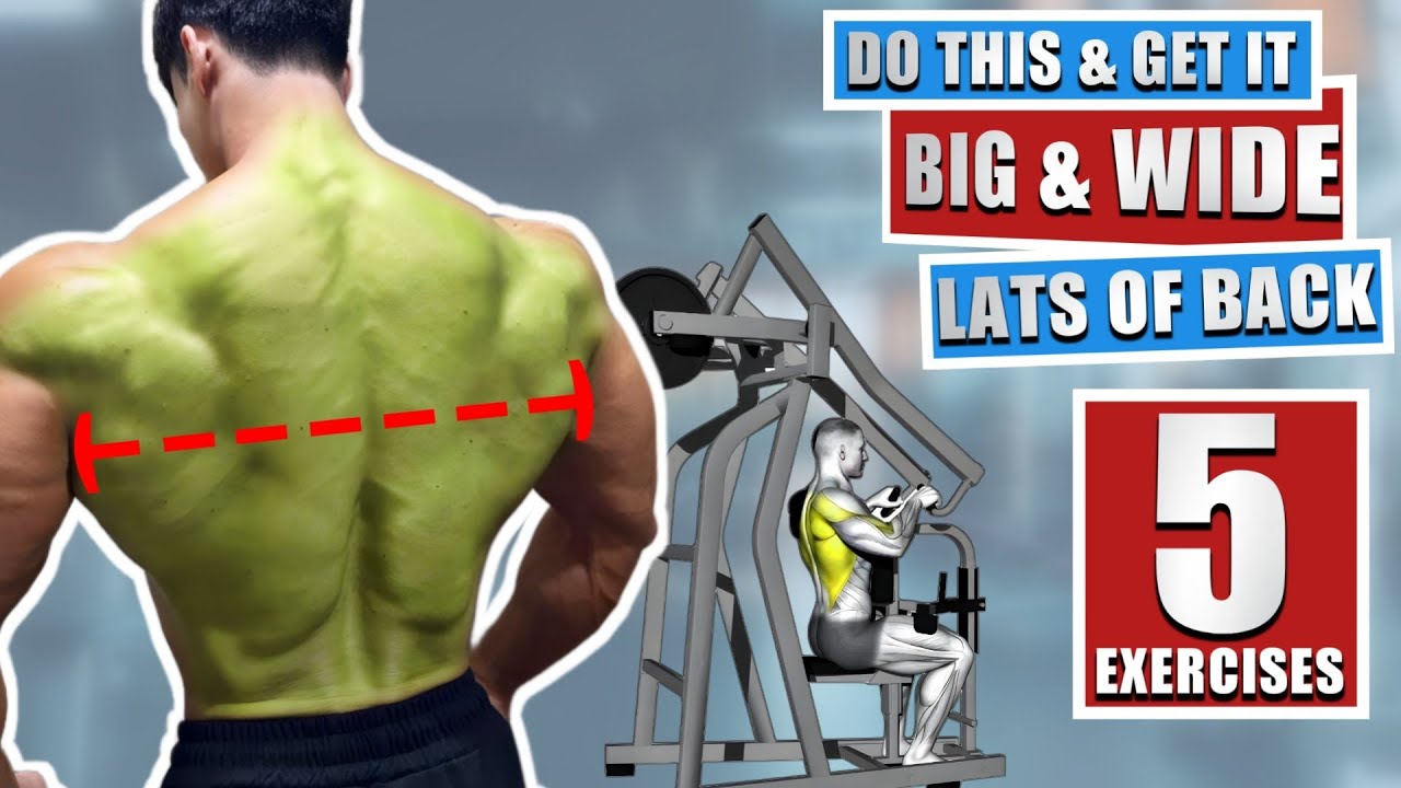 Best Back Workout At Gym For Beginners - YouTube
