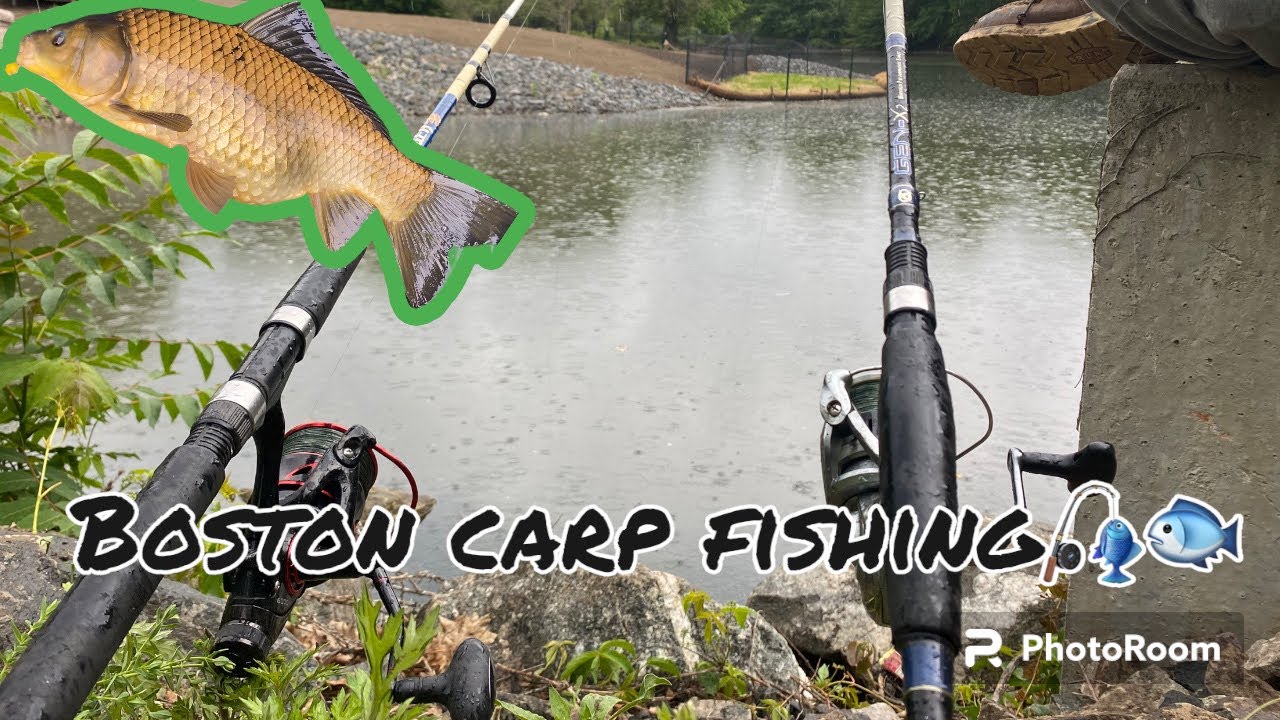 Charles River Carp Fishing (NonStop Fish Action💯🎣🐟🍀🤟🏻🙏🏻) Urban As It ...