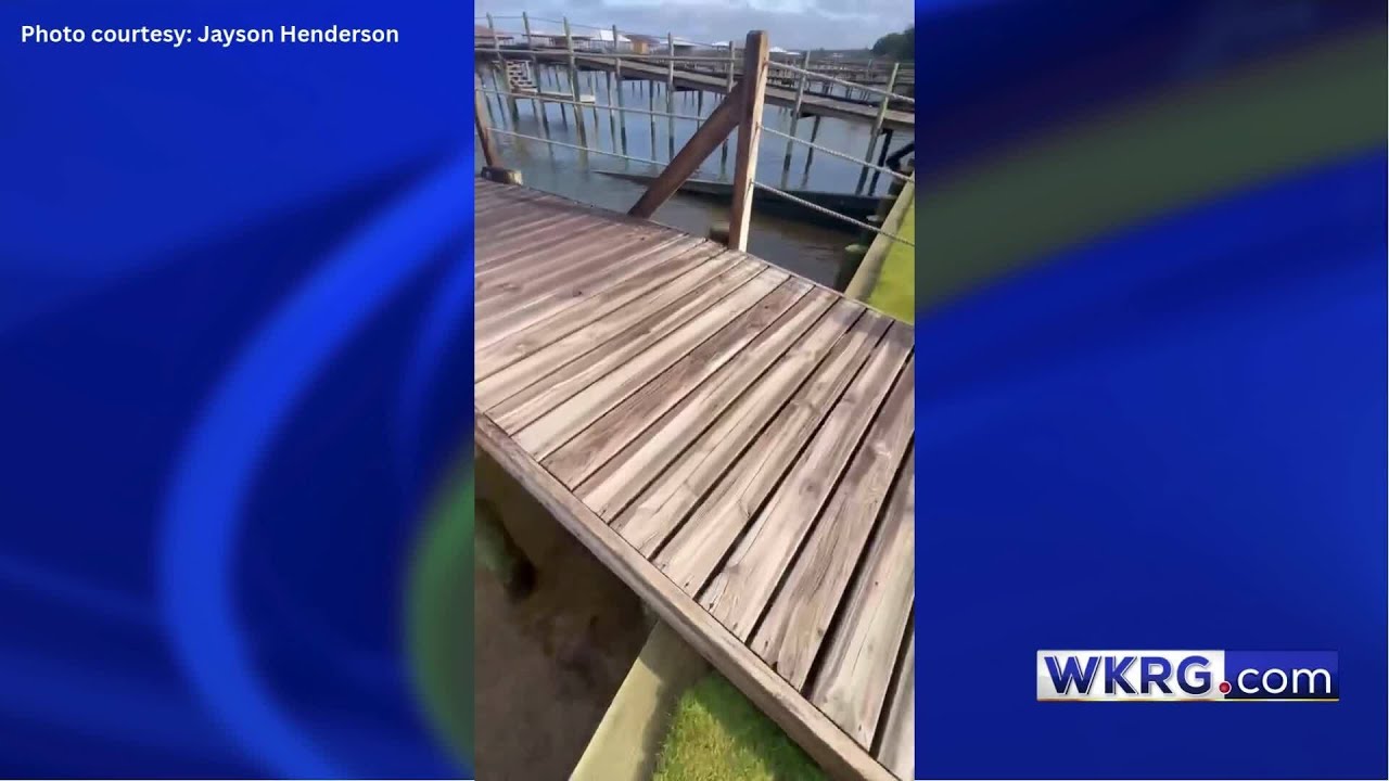 Rare natural phenomenon leaves fish washing ashore in Fairhope - YouTube