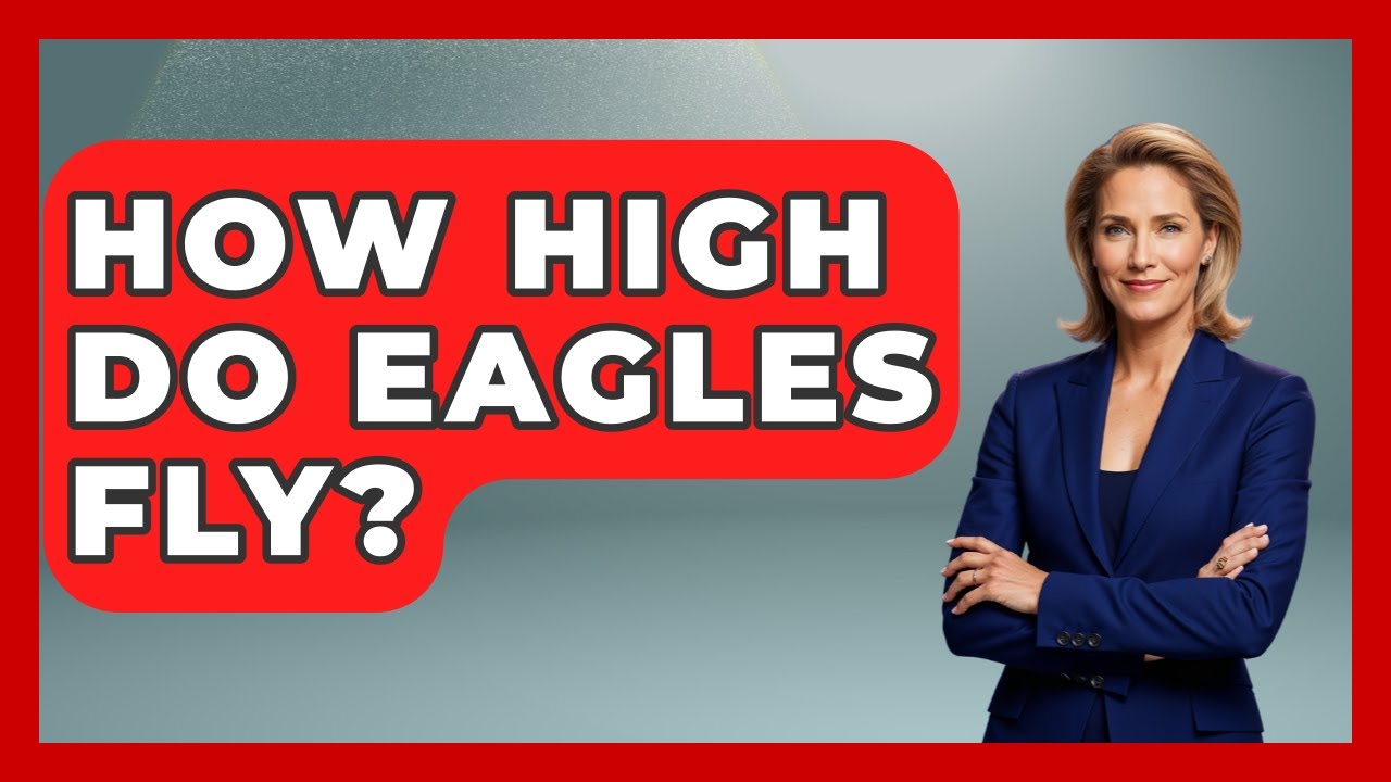 How High Do Eagles Fly? - Bird Watching Diaries - YouTube