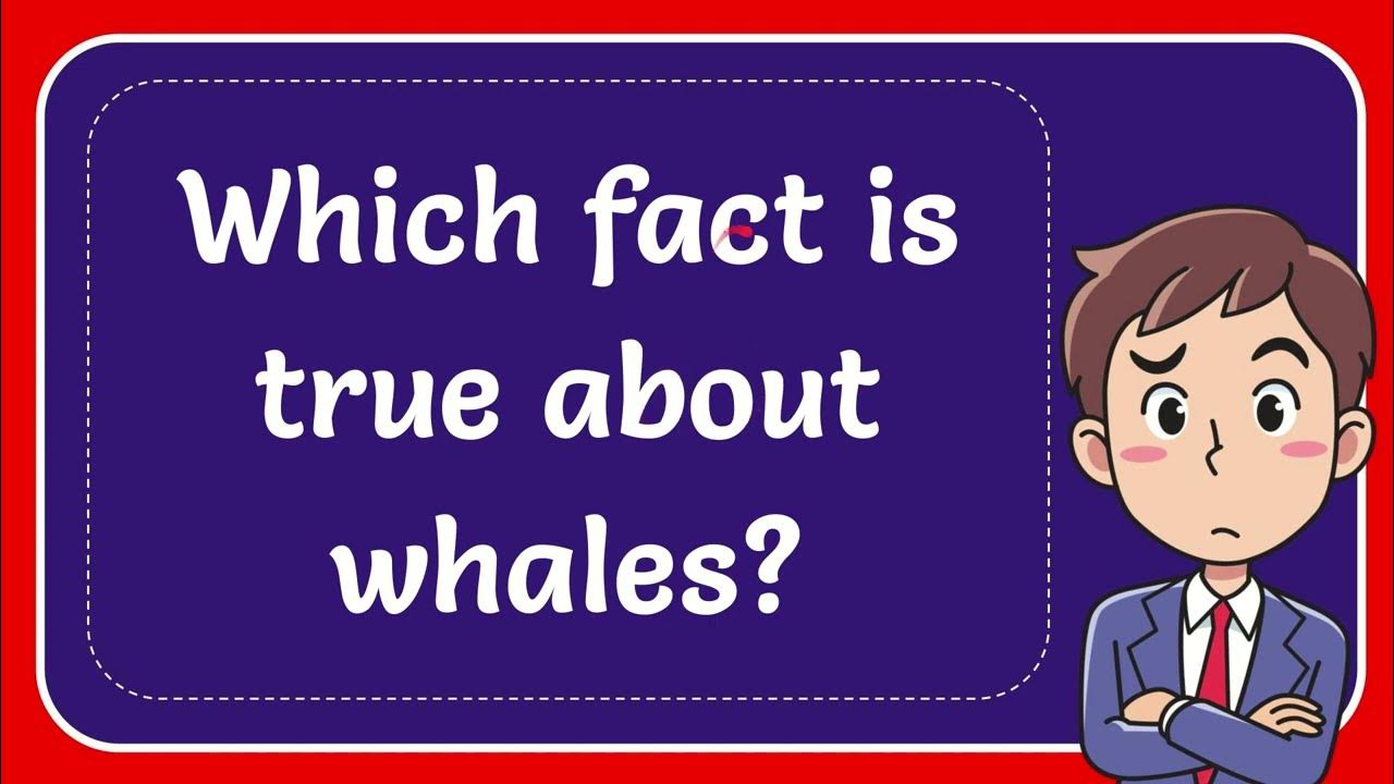 Which Fact Is True About Whales YouTube which-fact-is-true-about-whales-youtube