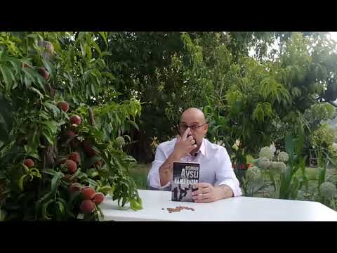 KANLI PAZAR                               OSMAN AYSU