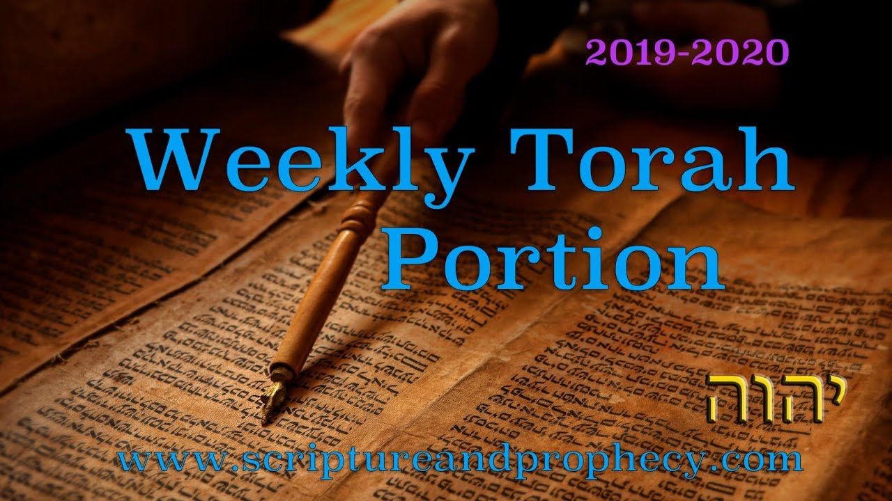 In the beginning — בראשית : Torah Portion (Genesis 1:1-6:8 ...