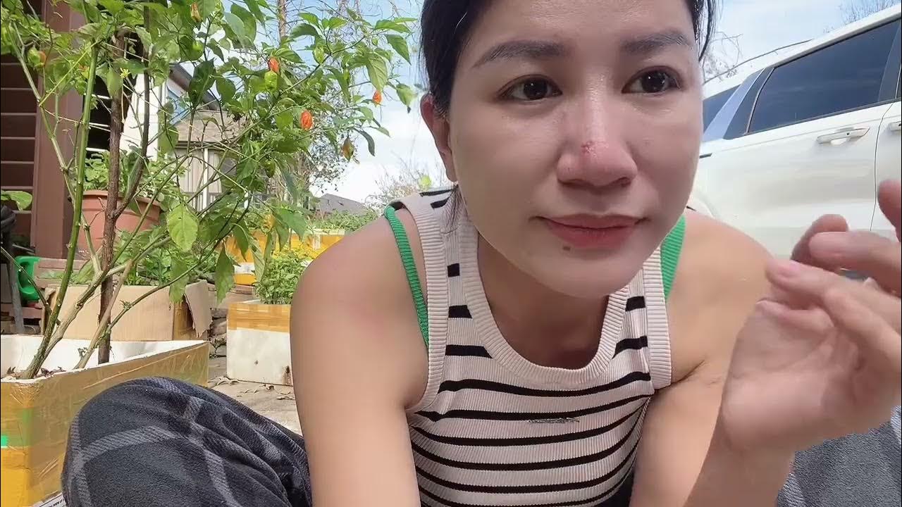 Mẹ Trang Khàn đi làm nông bôi kem chống nắng ăn cóc chấm muối qua ngày - YouTube