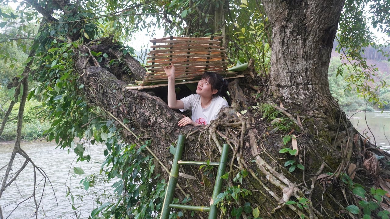 Buiding survival shelter shelter in the tree, Bushcraft hut - LIVING ...