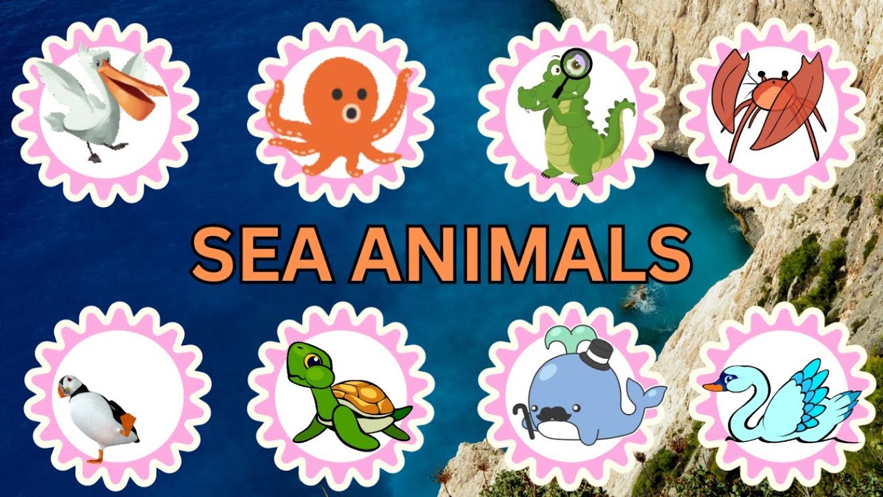 Ocean Adventures: Discovering Sea Animals for Little Explorers - YouTube