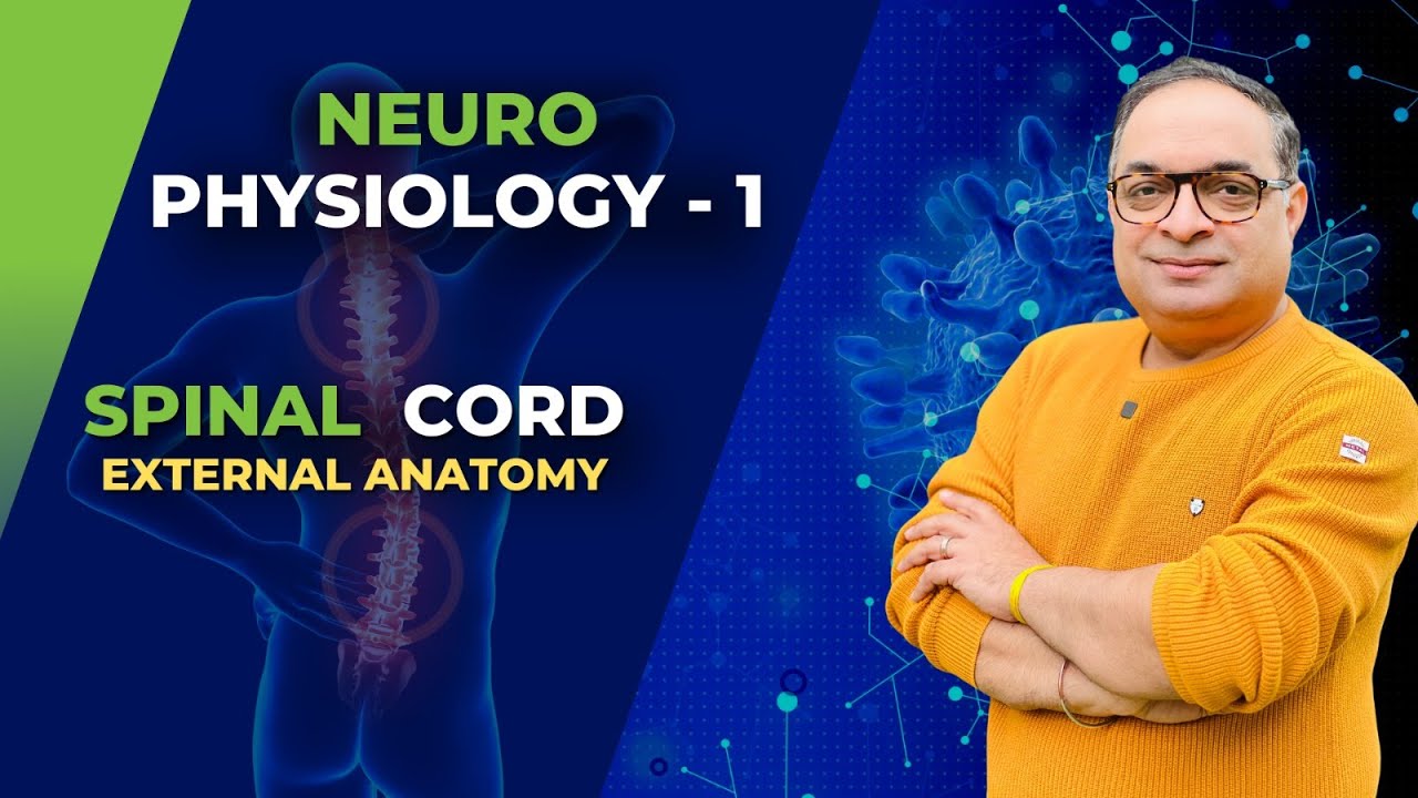 MBBS First Year | Neuro Physiology | Spinal Cord External Anatomy| Dr Sachin Kapur | AIIMS - YouTube