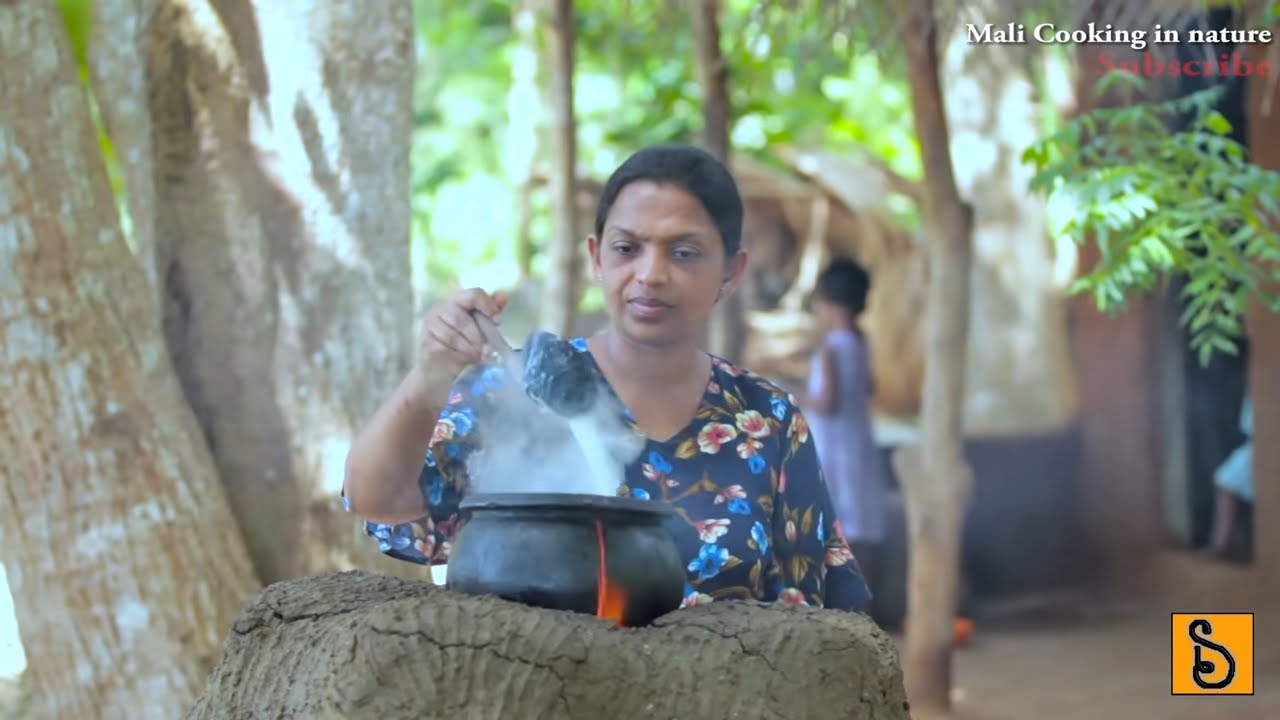 Special lunch cooked with fresh milk | curd recipe | mali cooking in ...