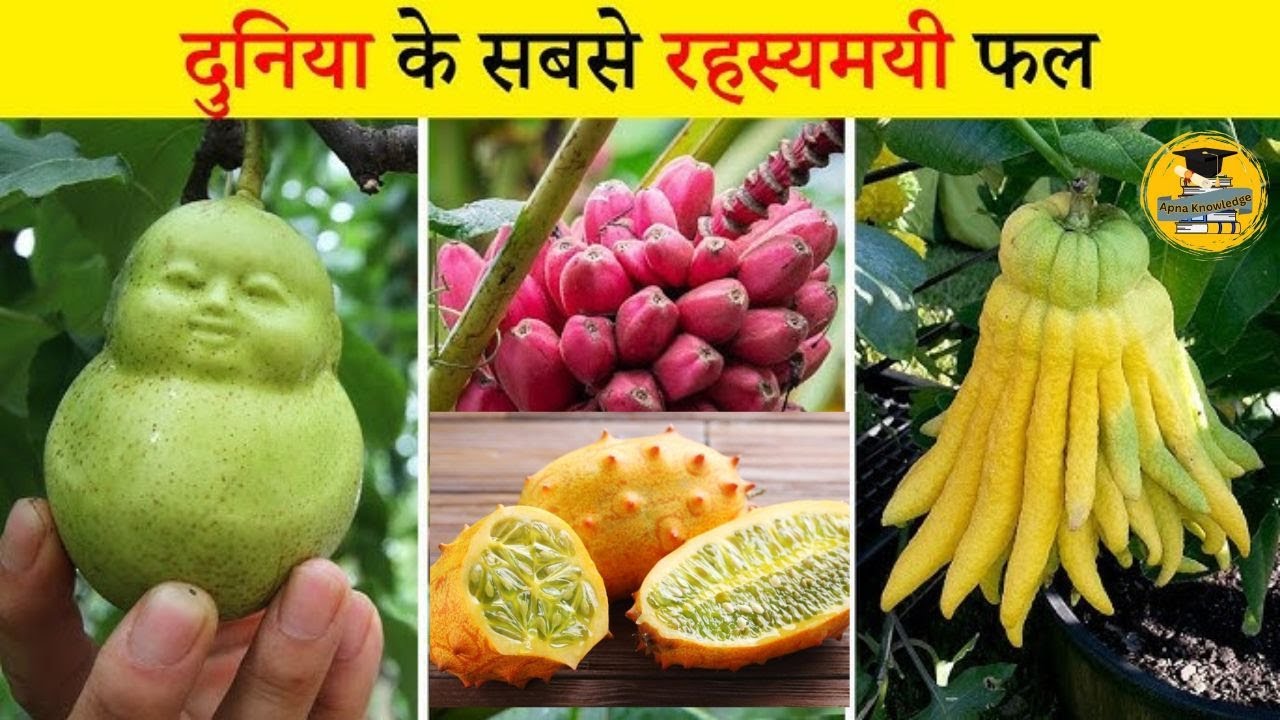 दुनिया के सबसे अनोखे फल | Top 5 Most Rare and Exotic Fruits in the ...