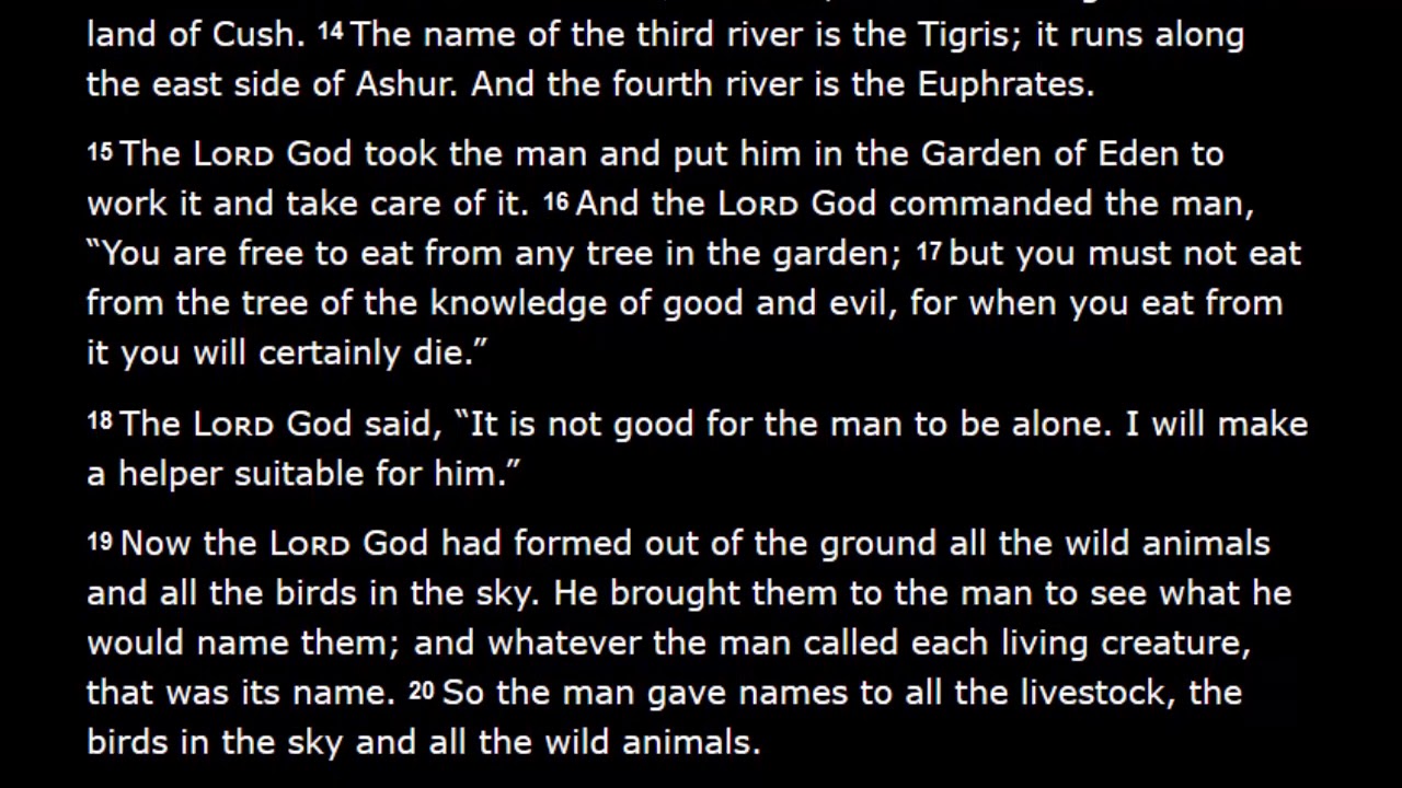 Genesis 2 New International Version (NIV) - YouTube