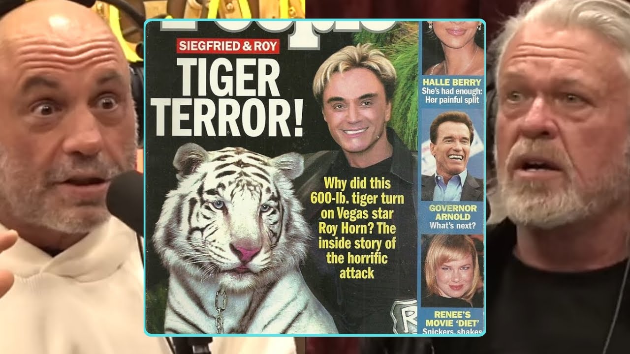 What Really Happened To Siegfried And Roy “SCARY” | Joe Rogan - YouTube