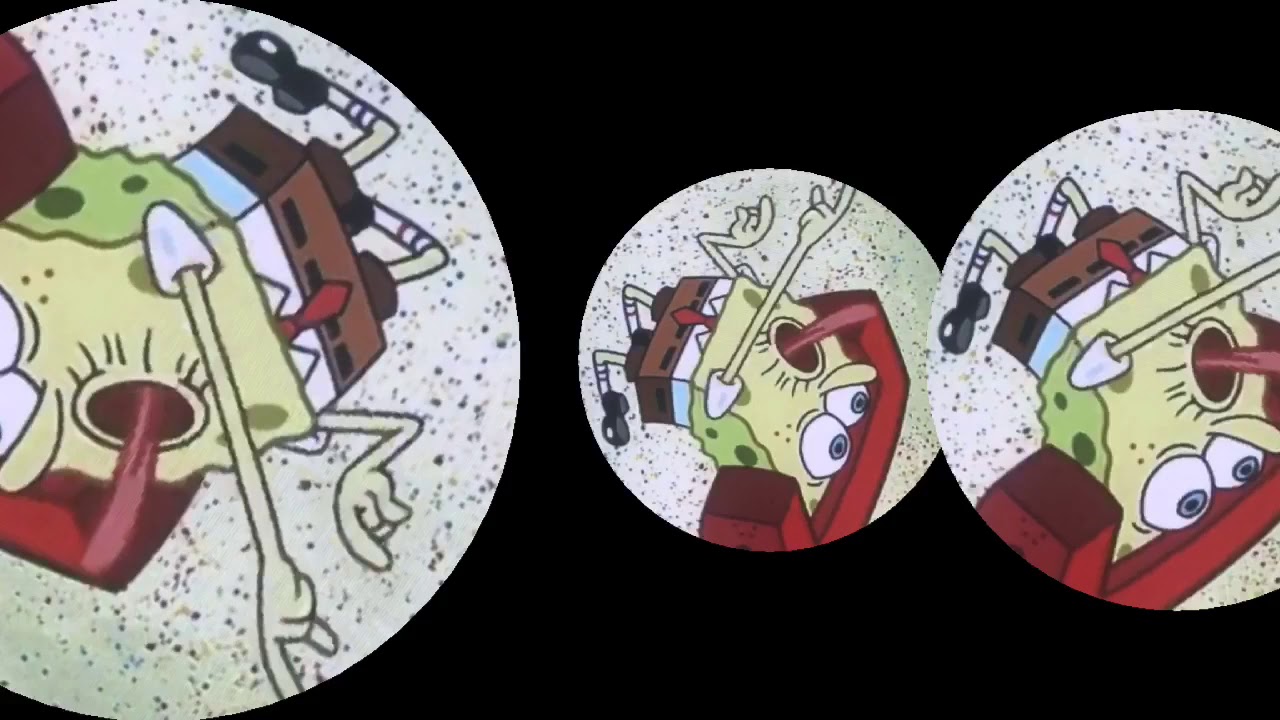 Spongebob squarepants I’m with stupid colorful funny - YouTube