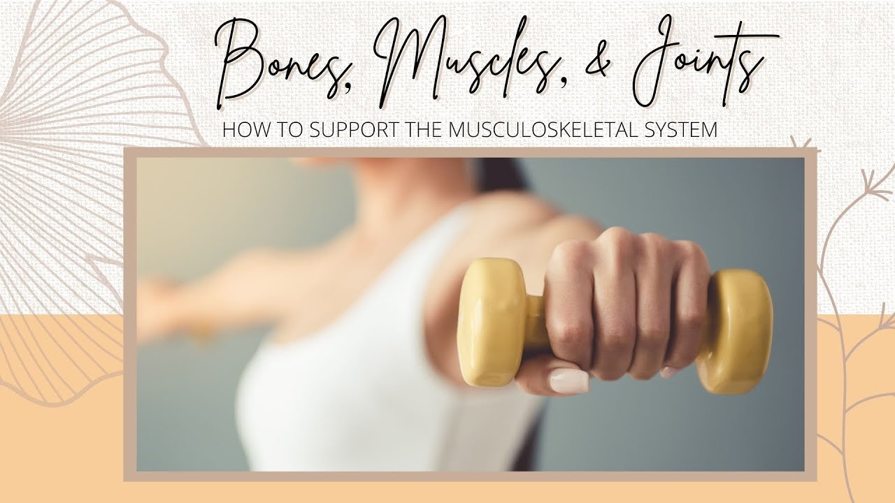 Bones, Muscles and Joints -- How to Support the Musculoskeletal System ...